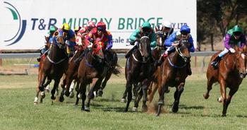 Murray Bridge Racing Club Inc - Horse Racing - Murray Bridge Locality ...